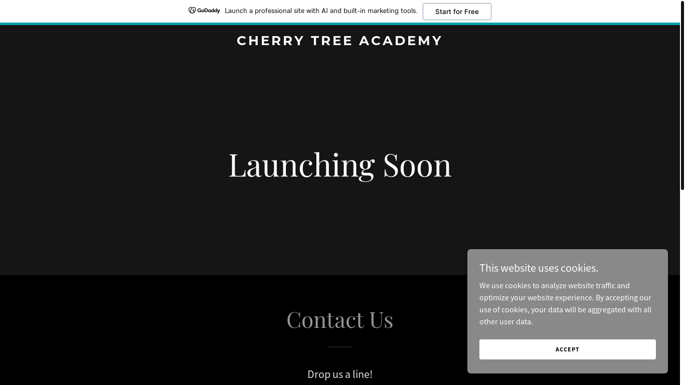 Link Check results for cherrytree.academy
