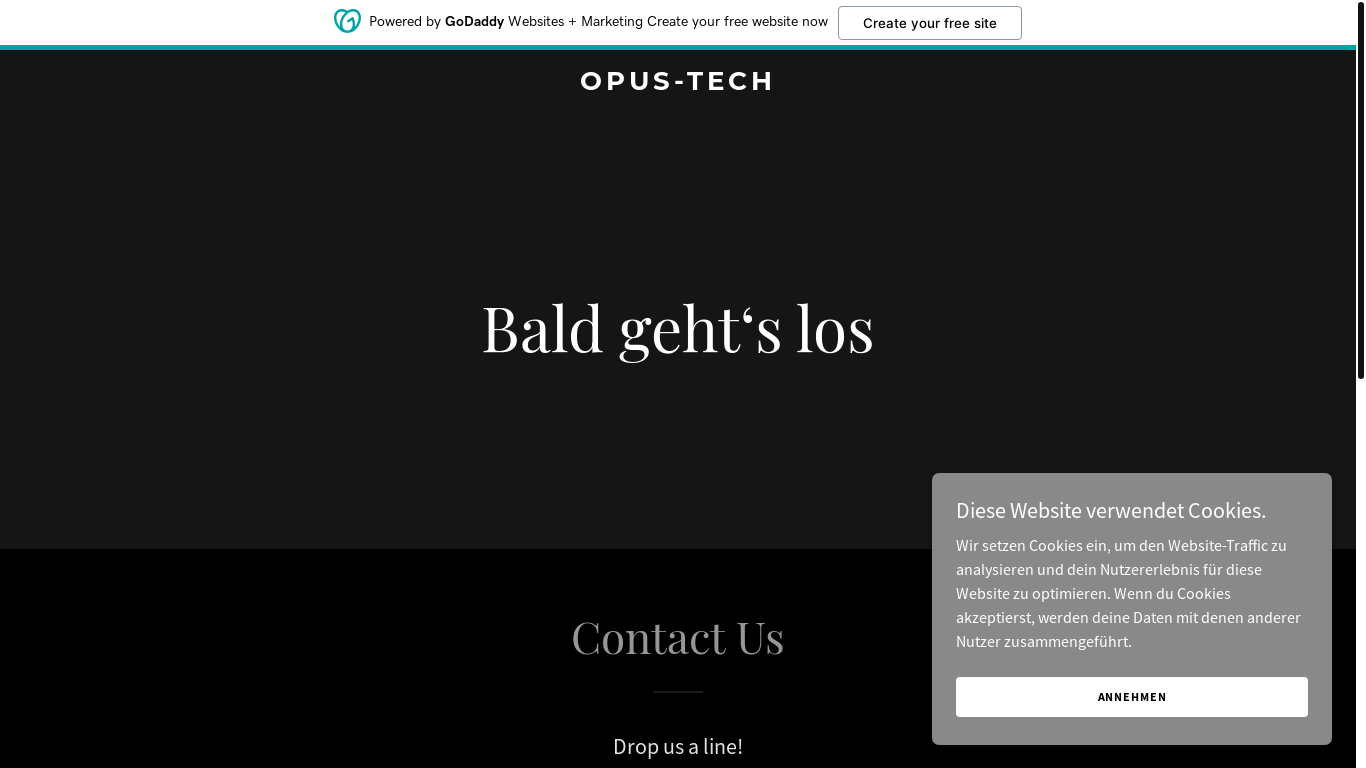 Link Check results for opus-tech.ai